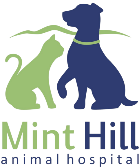 Best Veterinary Hospital in Mint Hill, NC | Mint Hill AH