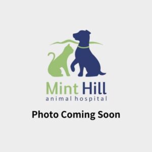 Veterinarian in Mint Hill, NC 28227 | Mint Hill Animal Hospital